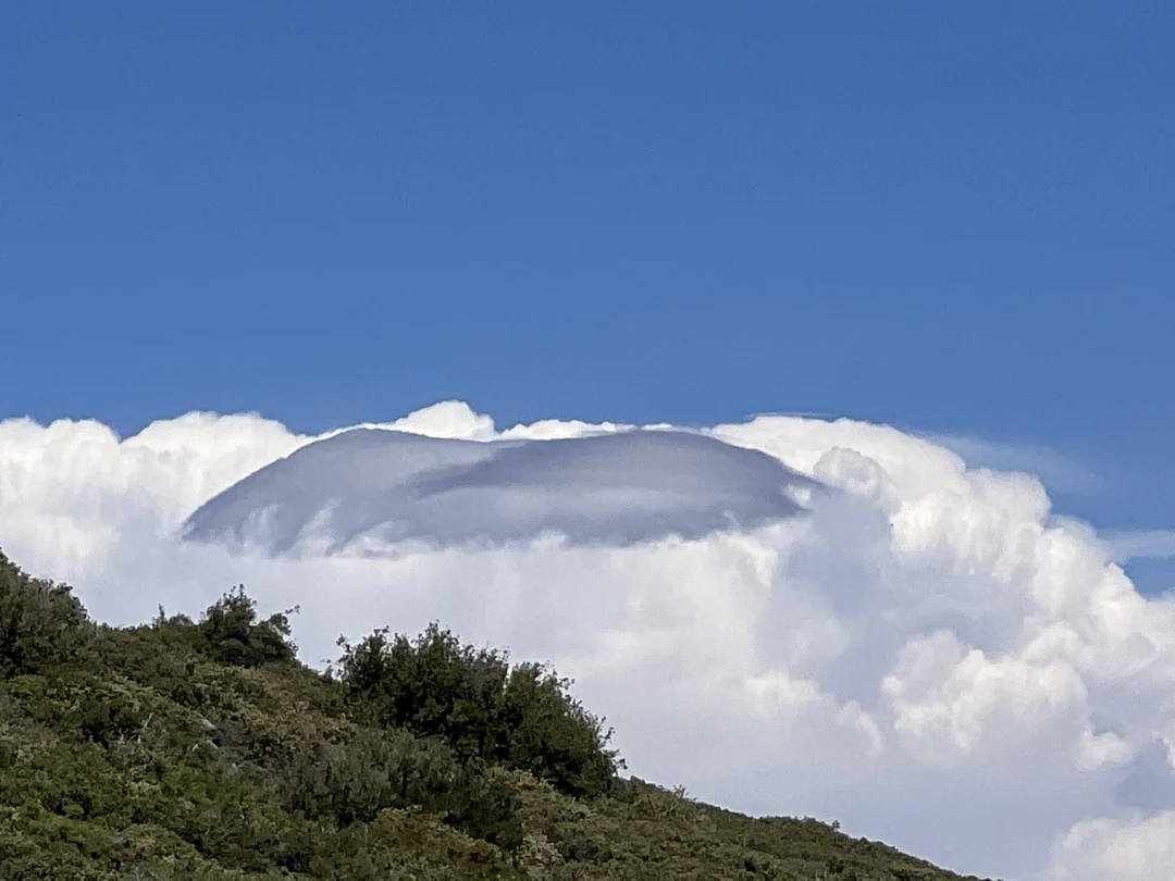 Curious cloud | Scrolller