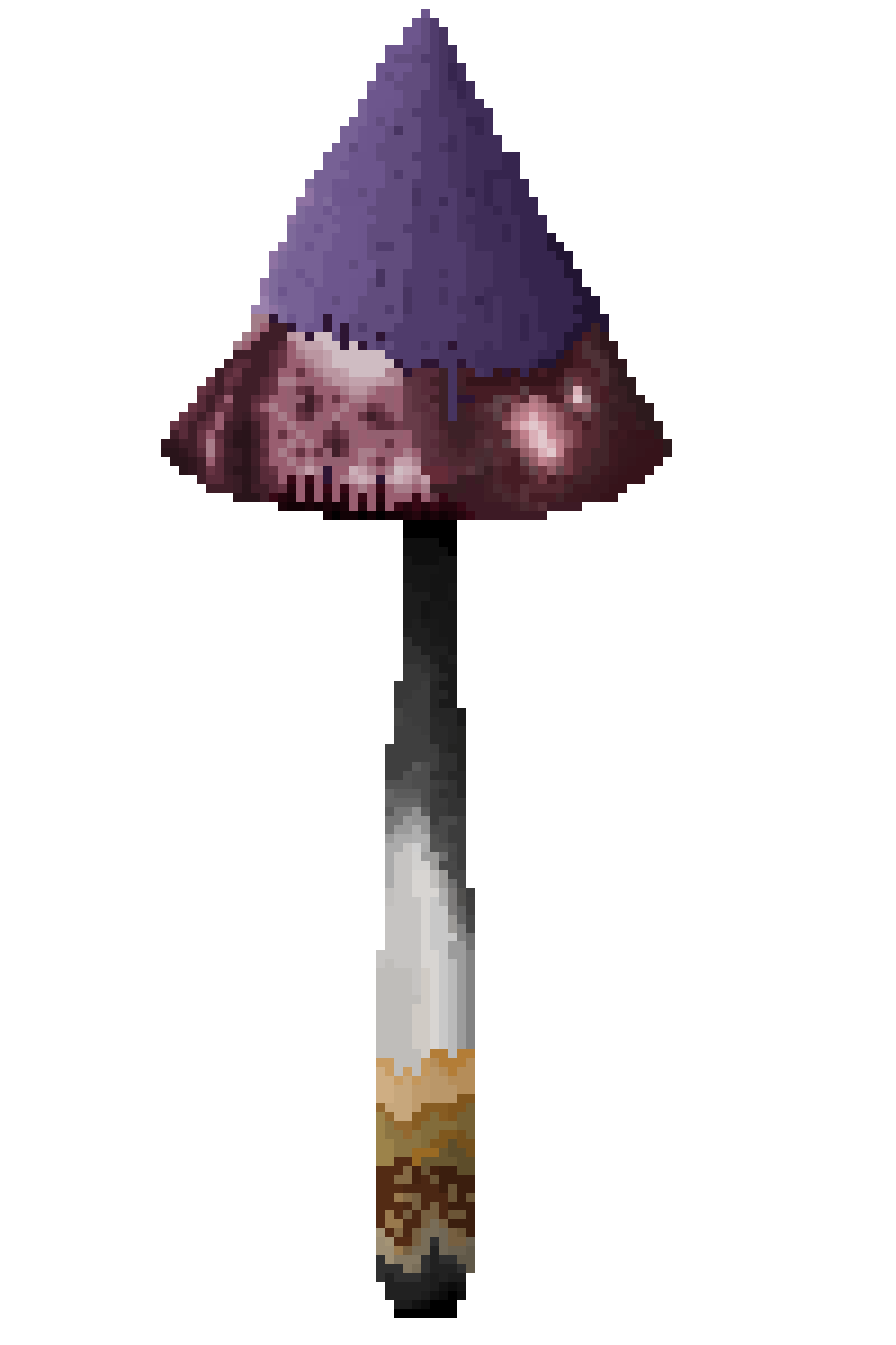 Mushroom | Scrolller