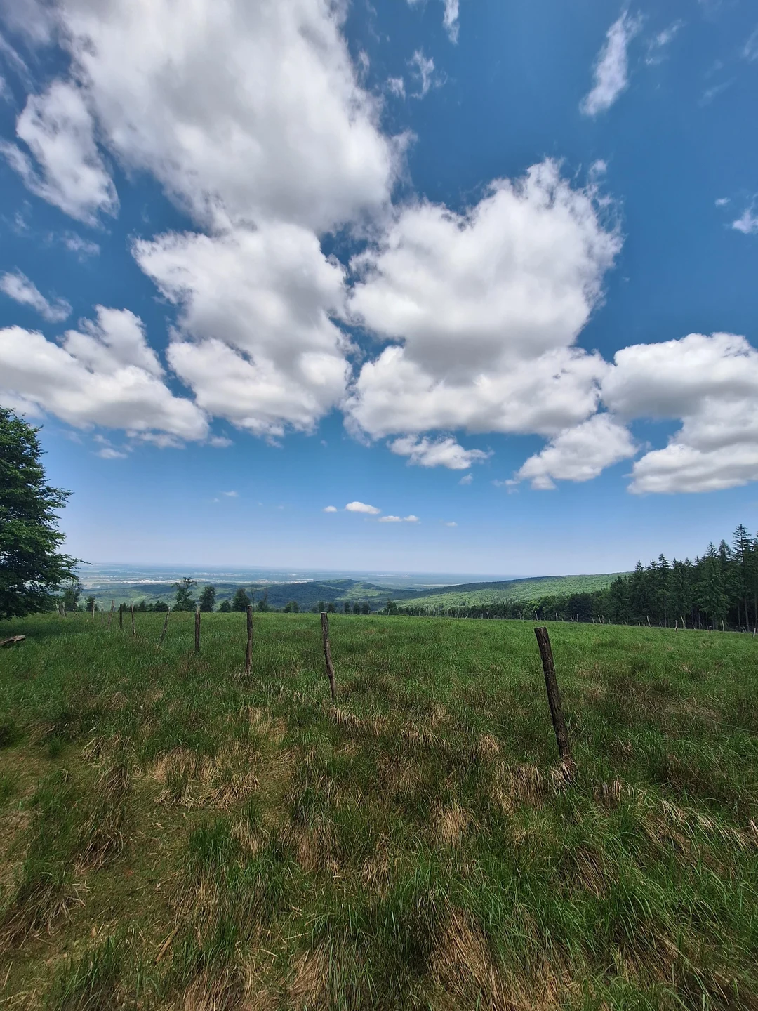 Beautiful day in Western Slovakia | Scrolller