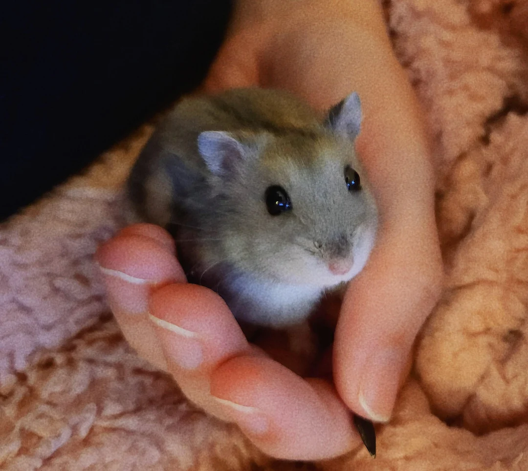 Meet Luna | Scrolller