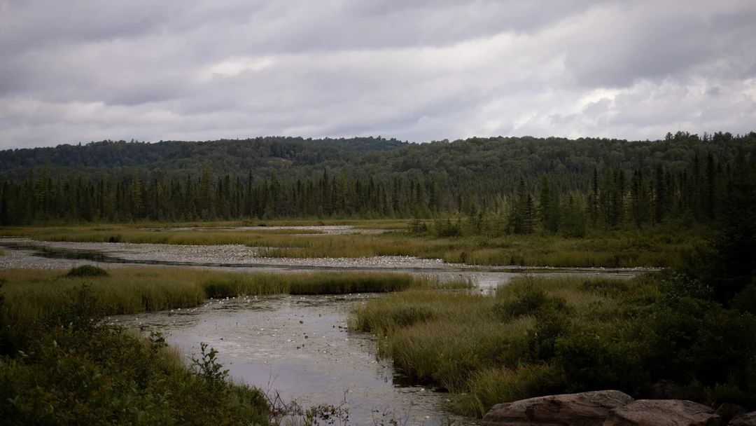 Algonquin Provincial Park [OC] [6240x3510] | Scrolller