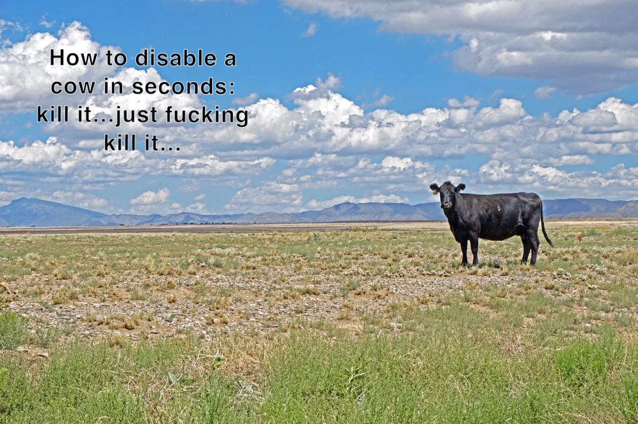 I was in a farm simulator as a cattle wrangler and given a loading screen tip… | Scrolller