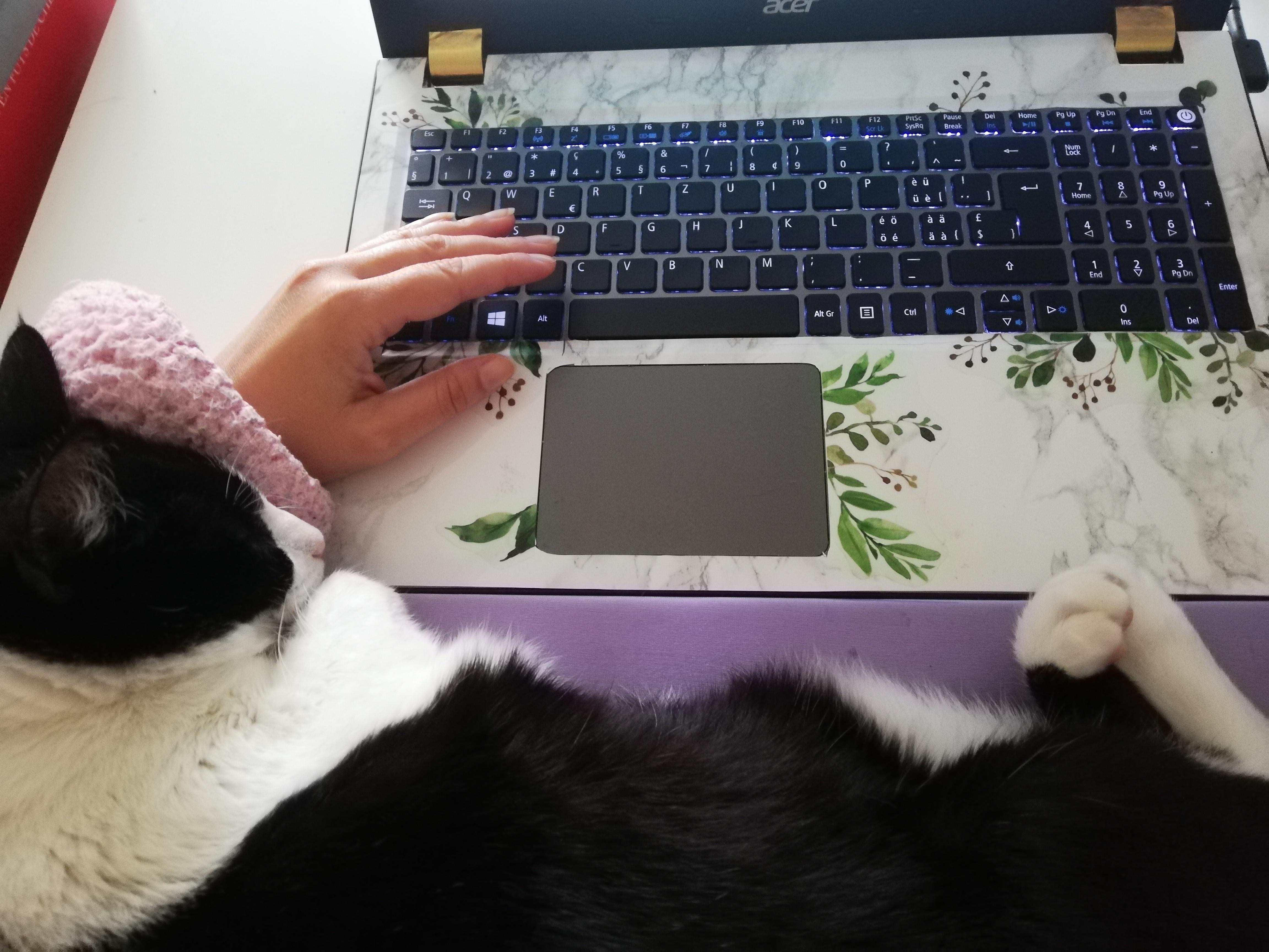 Rate my WFH set up | Scrolller