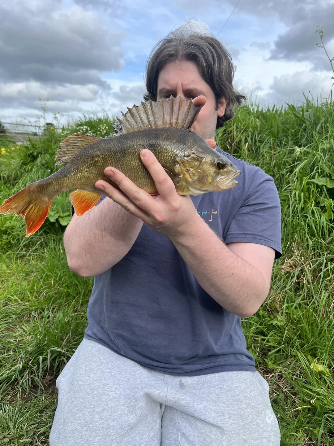 Monster perch | Scrolller