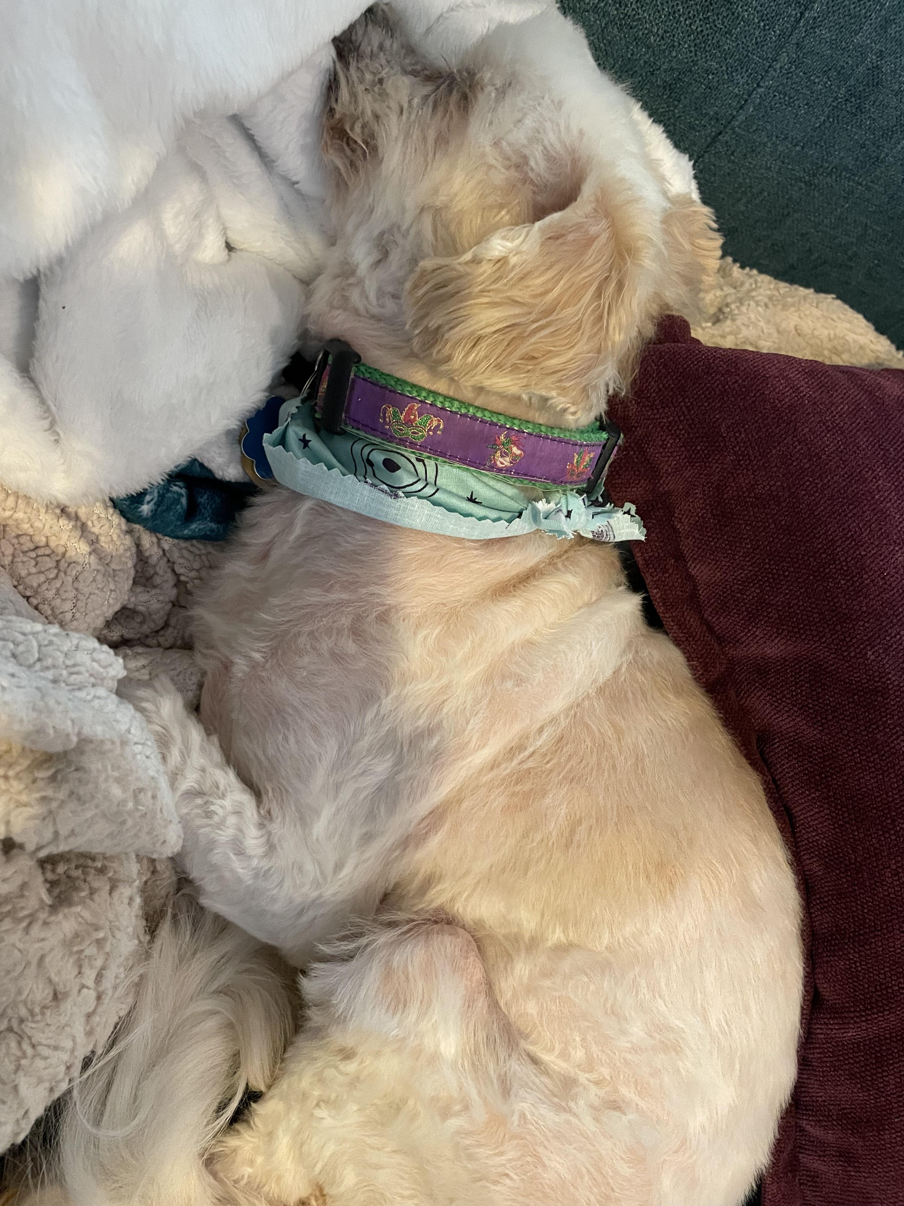 The blind Mindy, doing what she does best | Scrolller