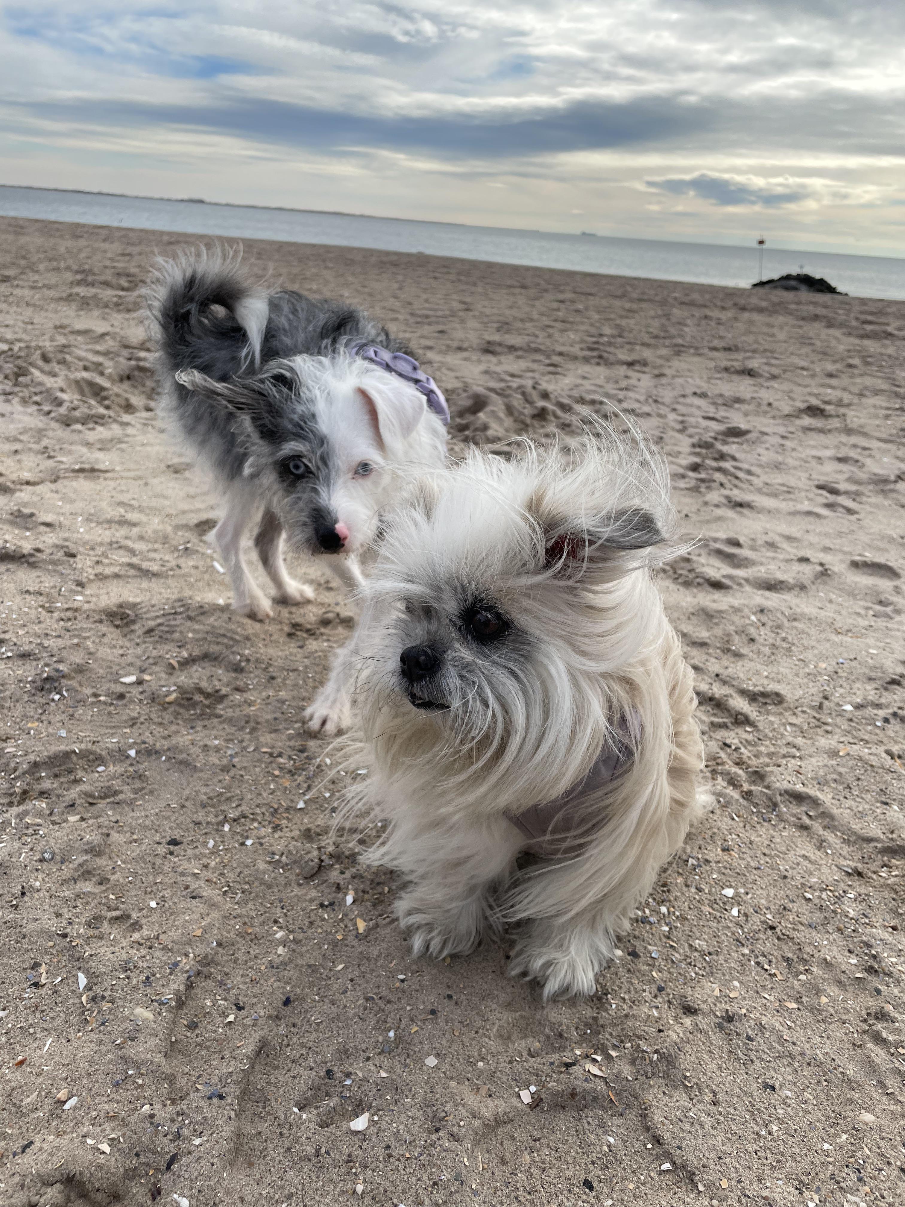 [OC] Double take | Scrolller