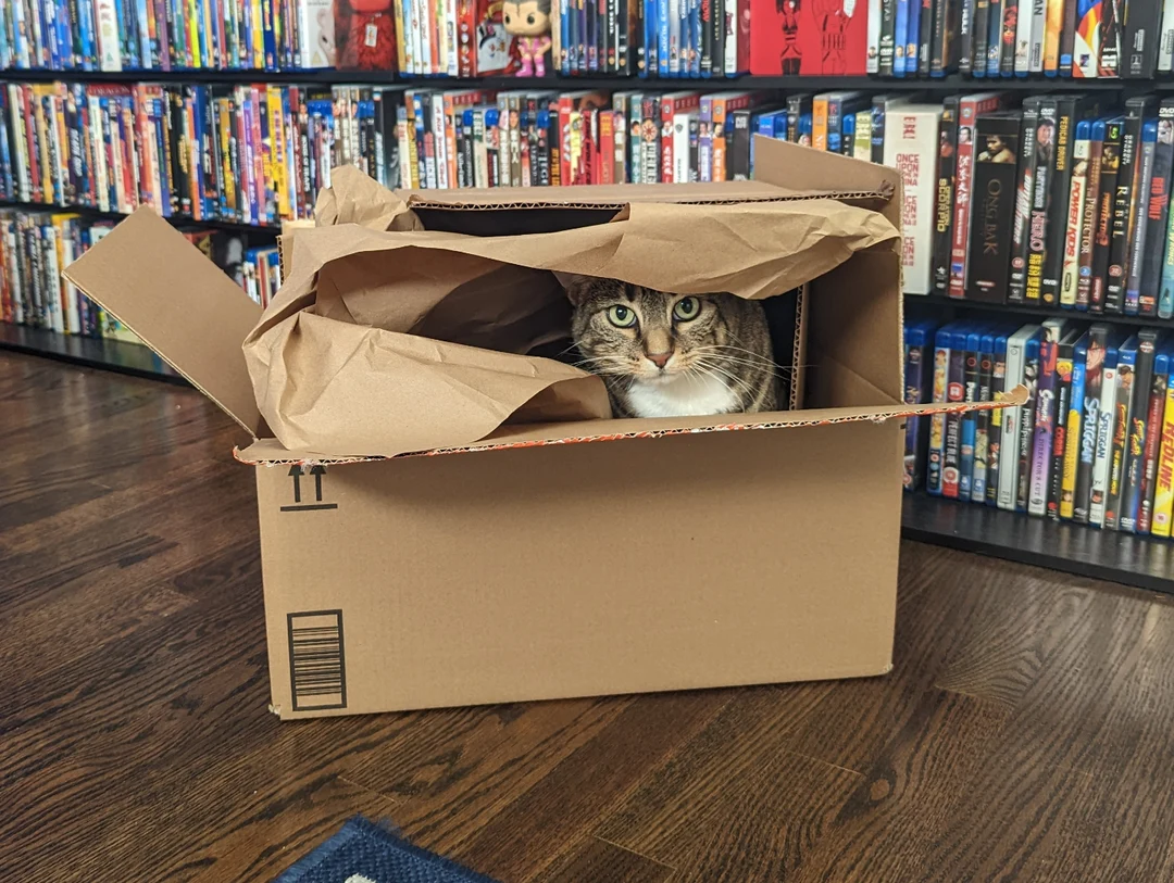 the rare smaller box in a larger box double trap | Scrolller