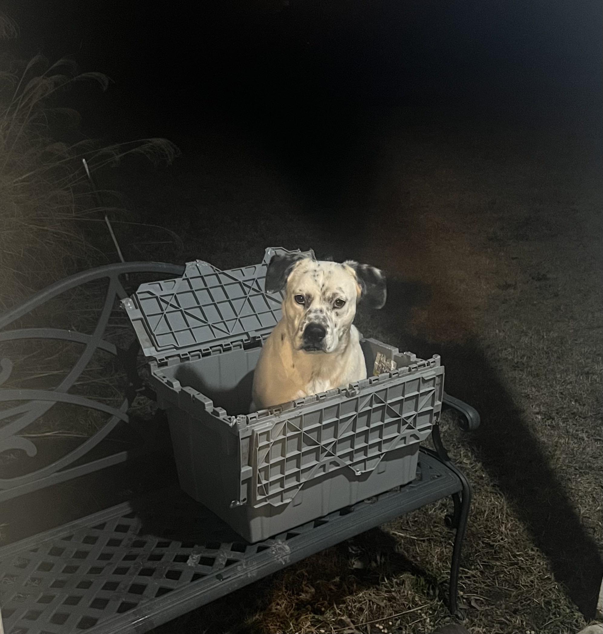 Clyde… what can I say? | Scrolller