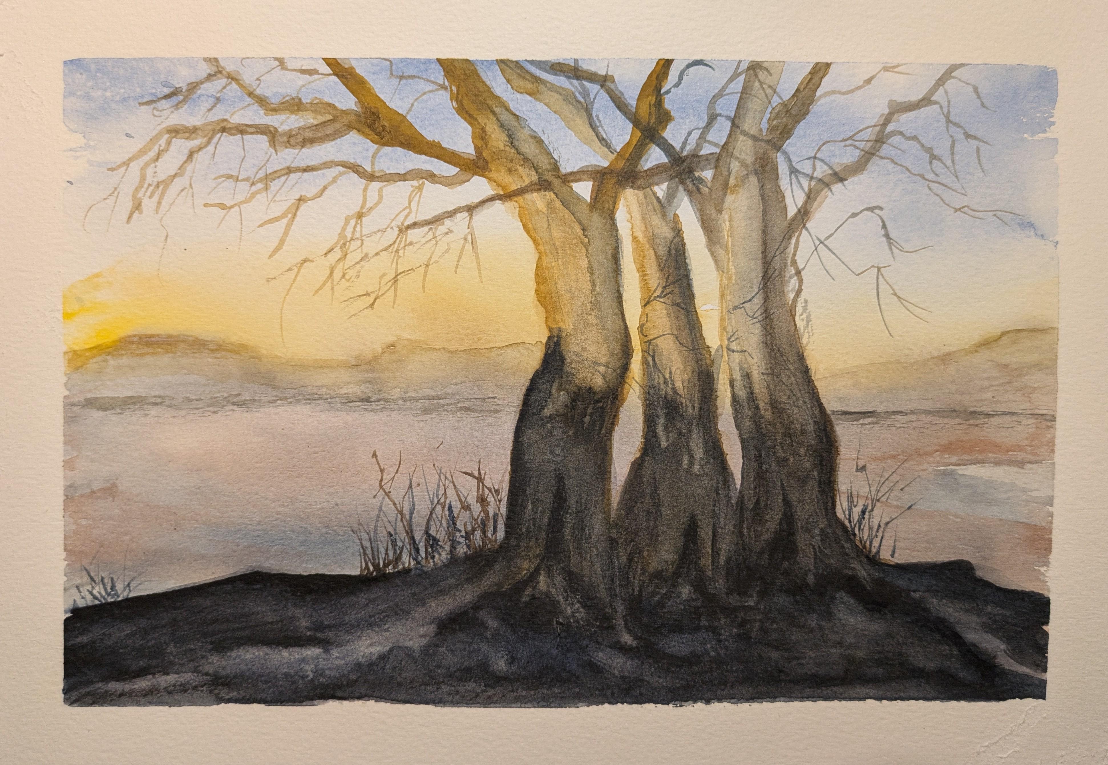 Tutorial | Scrolller