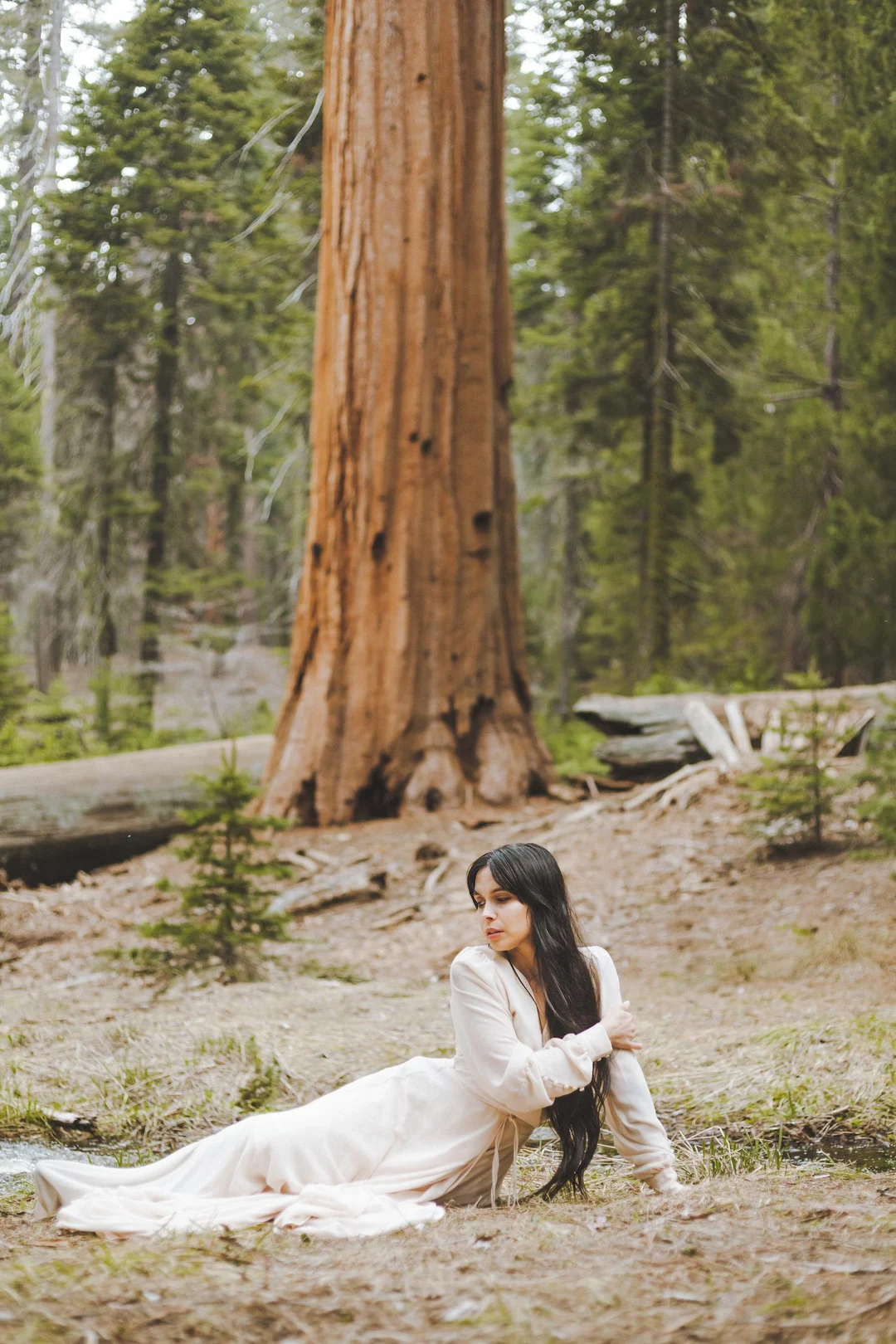 self portrait in Sequoia National Park [Canon 5d mark ii 50mm 1.8] | Scrolller