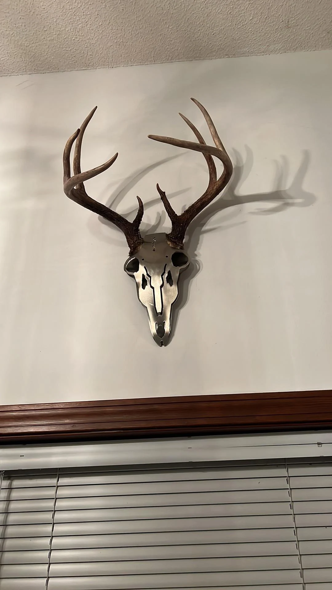 First mount | Scrolller