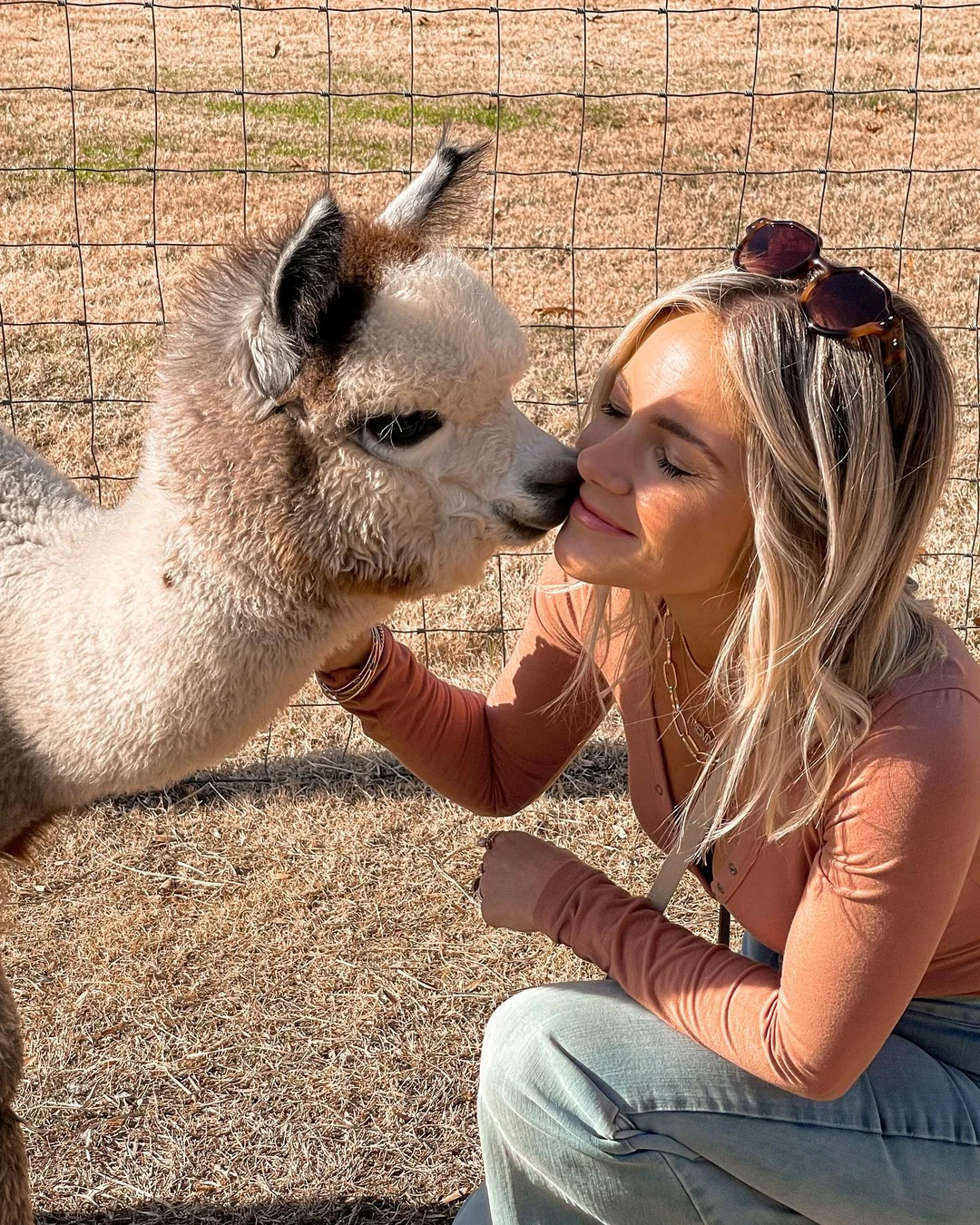 Alpaca Love | Scrolller