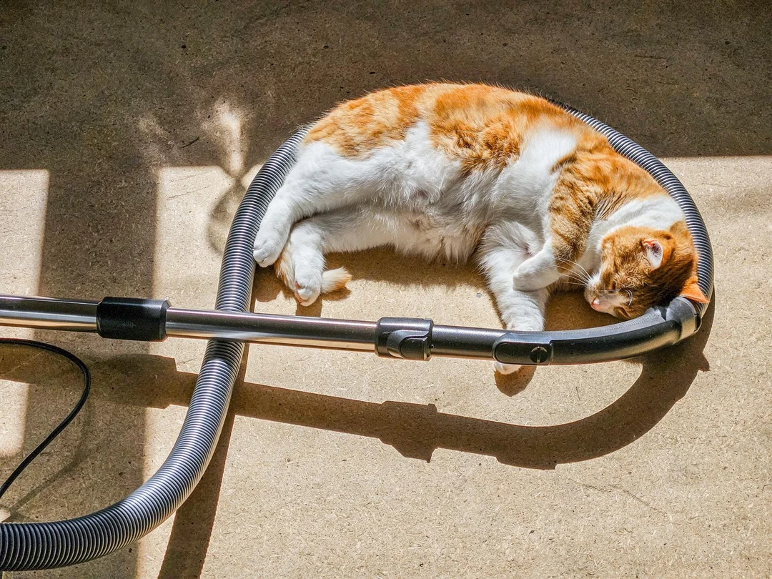 Trapped by arch enemy! | Scrolller