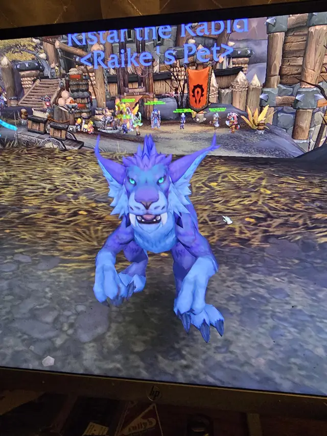 Brand new Hunter pet | Scrolller