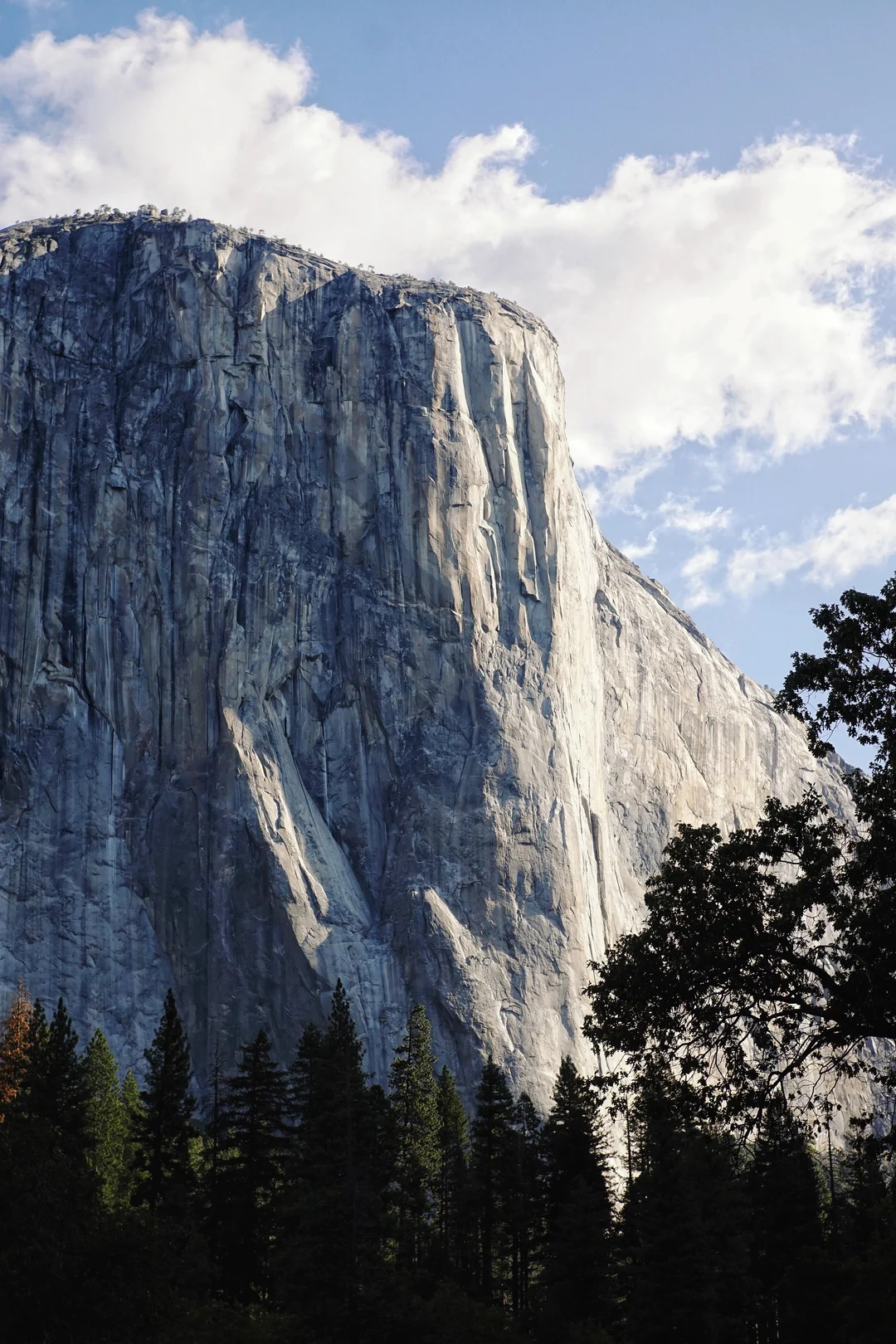 Look at that big old hunk of granite. El Capitan, Yosemite [OC] [4000x6000] | Scrolller