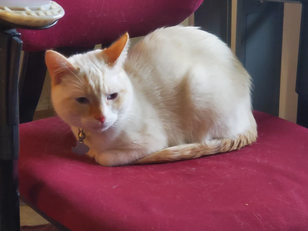 Depressed chair loaf | Scrolller