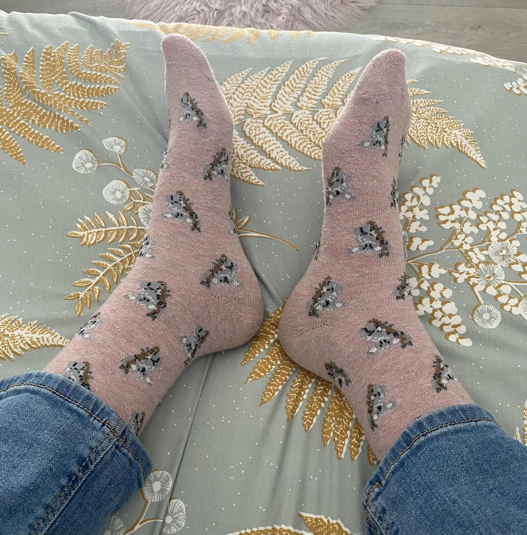 Koalas 🐨 | Scrolller