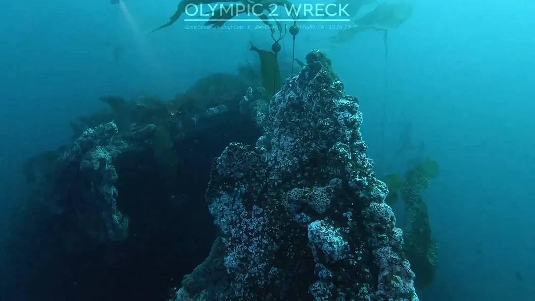 The Wreck of the Olympic 2, a 150 Year Old Sailboat Sunk in 1940 | Scrolller