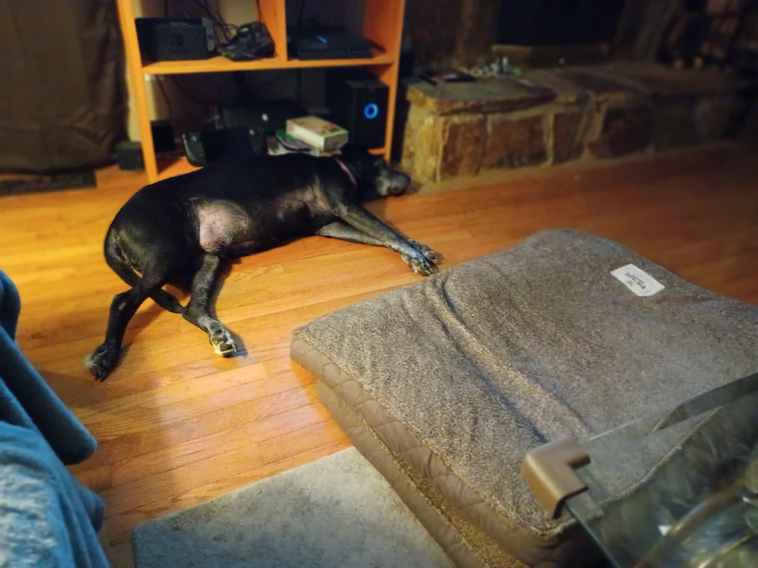 Is this really more comfortable? | Scrolller