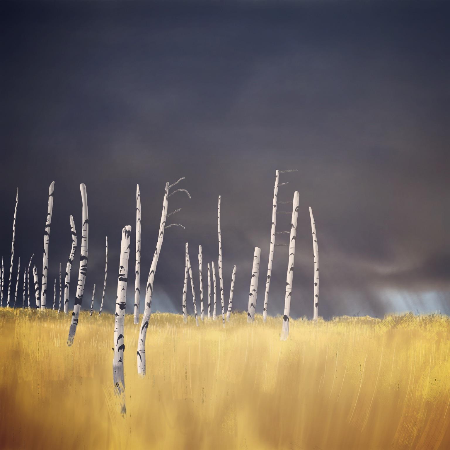 Storm brewing in the Prairies, Robert Zeiler (Me), digital on iPad, 2020 | Scrolller