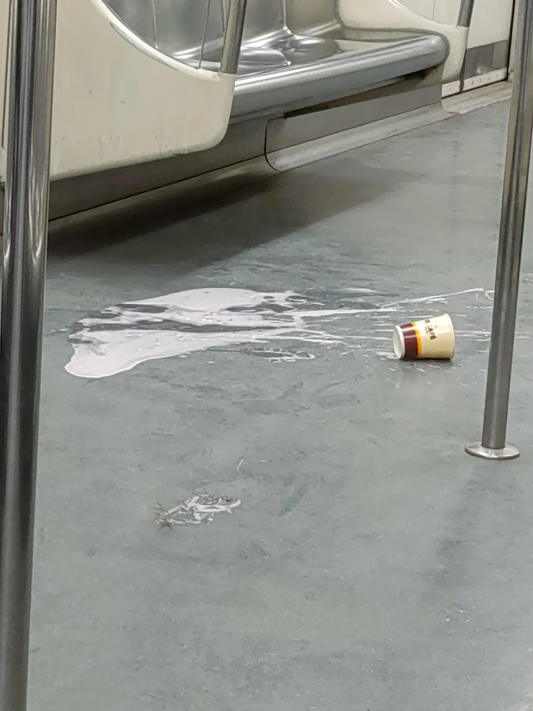 What Is This Behaviour Huh Scrolller