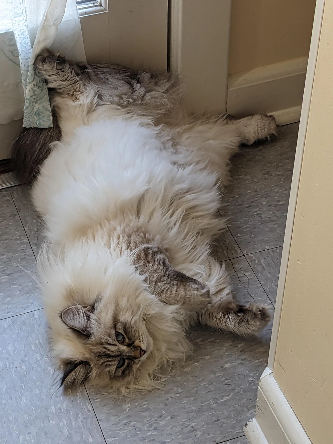 Basic Instinct 2 | Scrolller