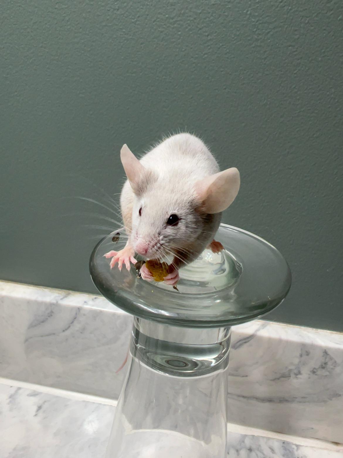 So polite | Scrolller