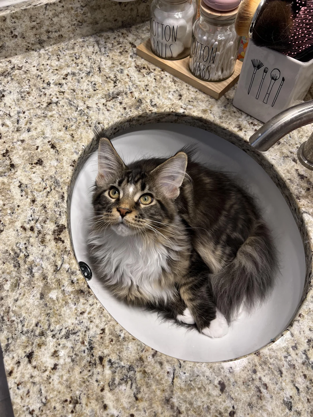 My drain is clogged. Has anyone ever experienced this? How do I get this out??? | Scrolller