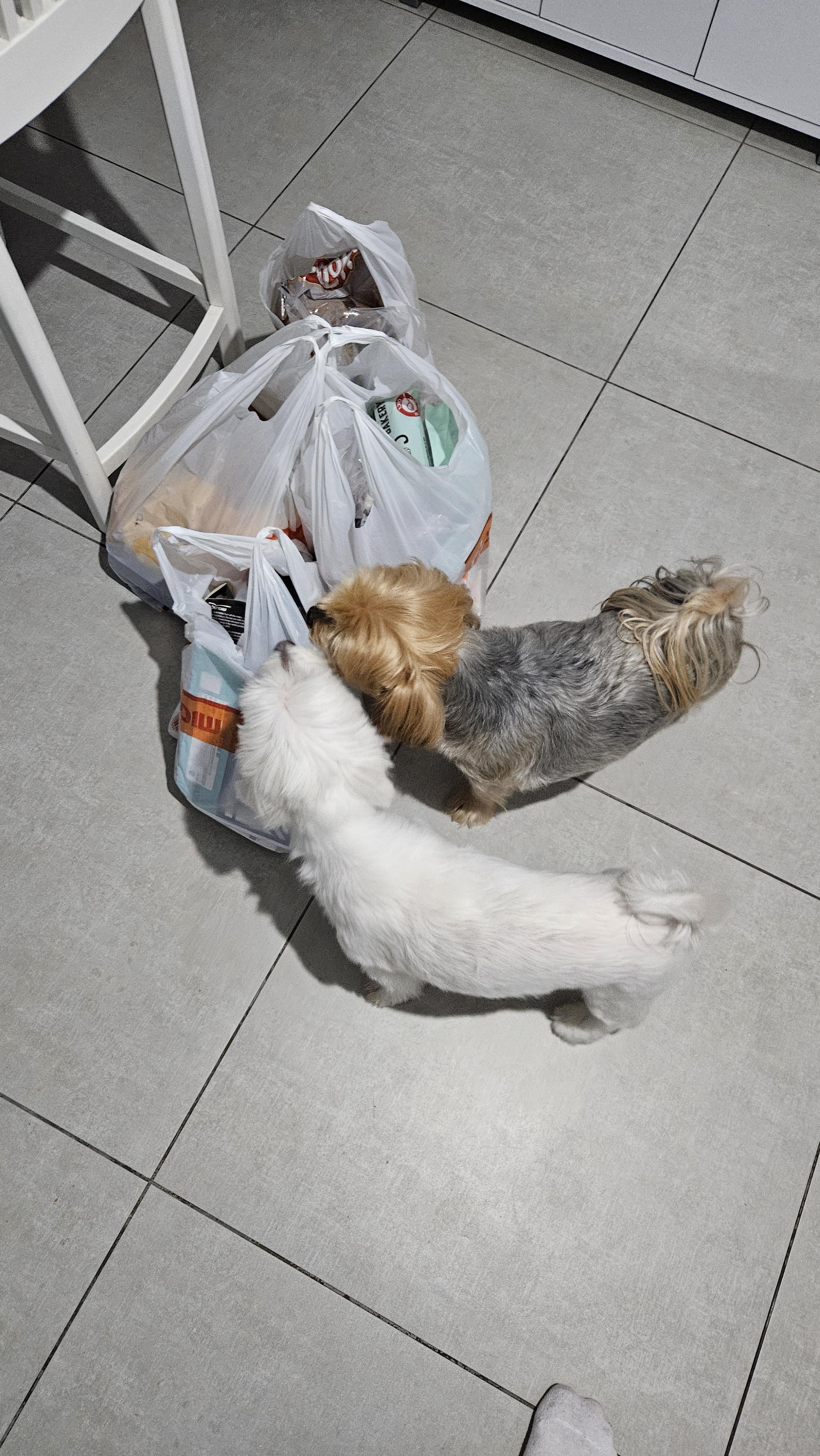 Security Inspection | Scrolller