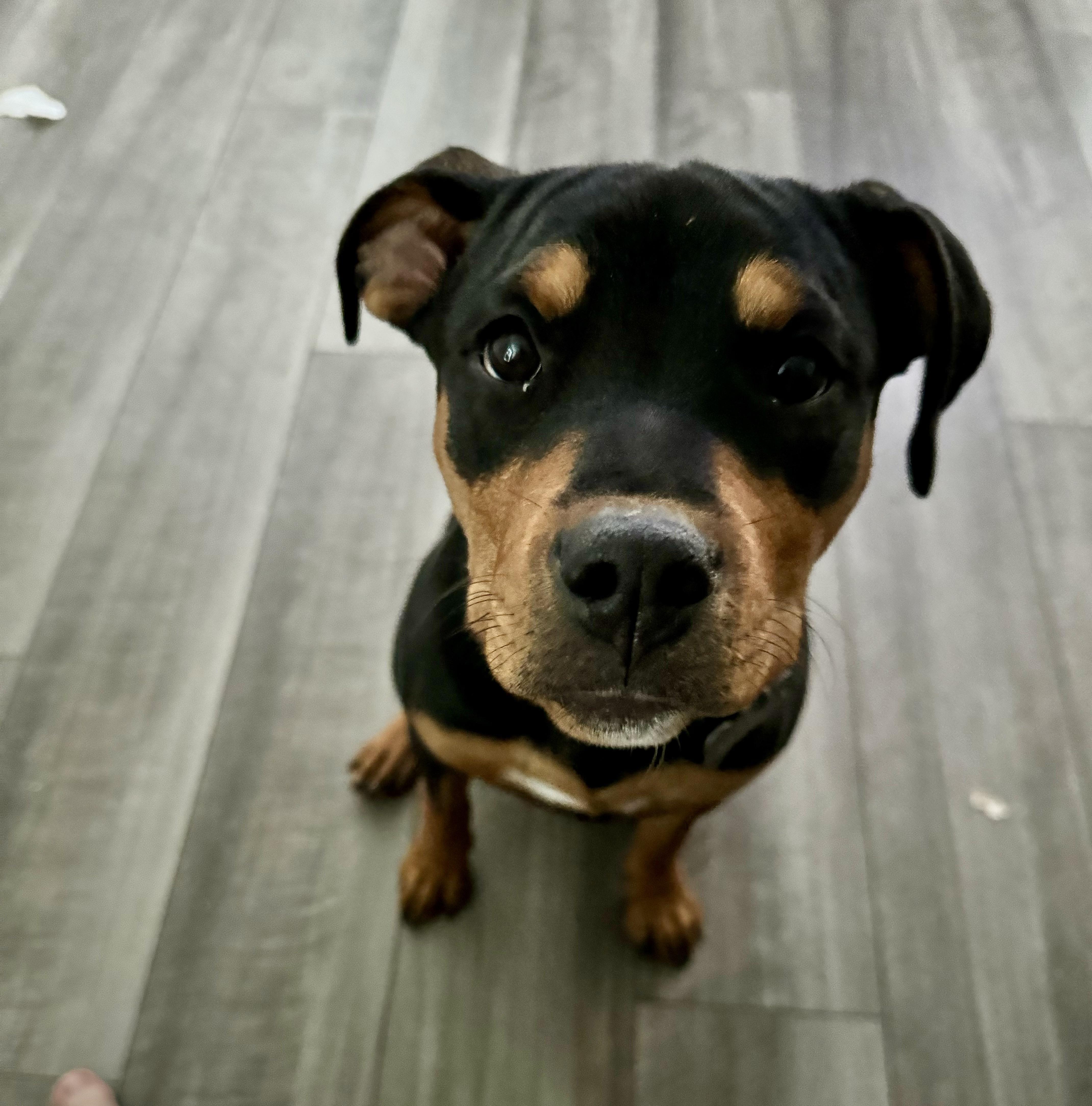 Loading…. | Scrolller