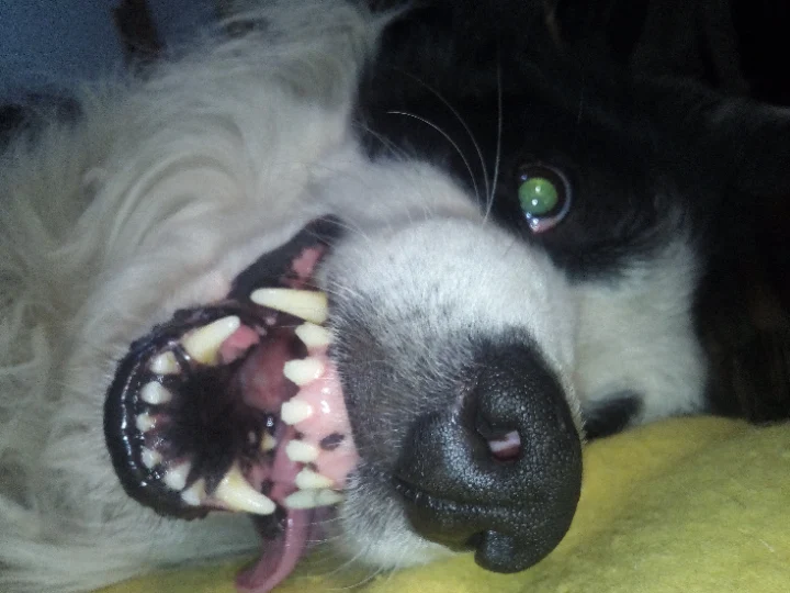 Happy At Bedtime Scrolller
