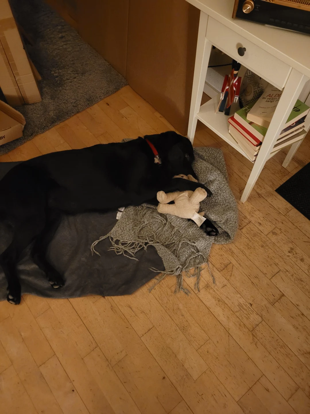 Her little sleep bear | Scrolller