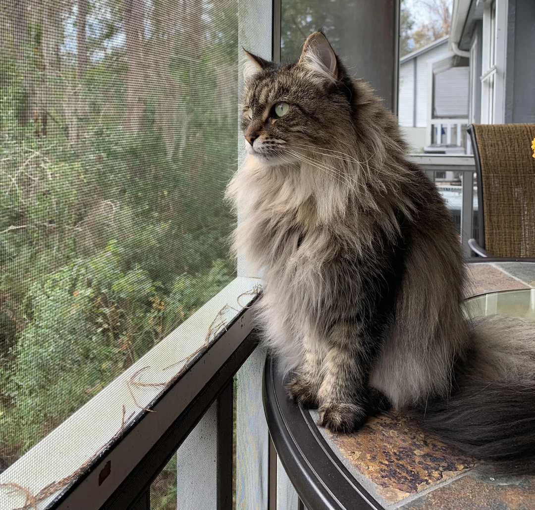 That winter coat | Scrolller