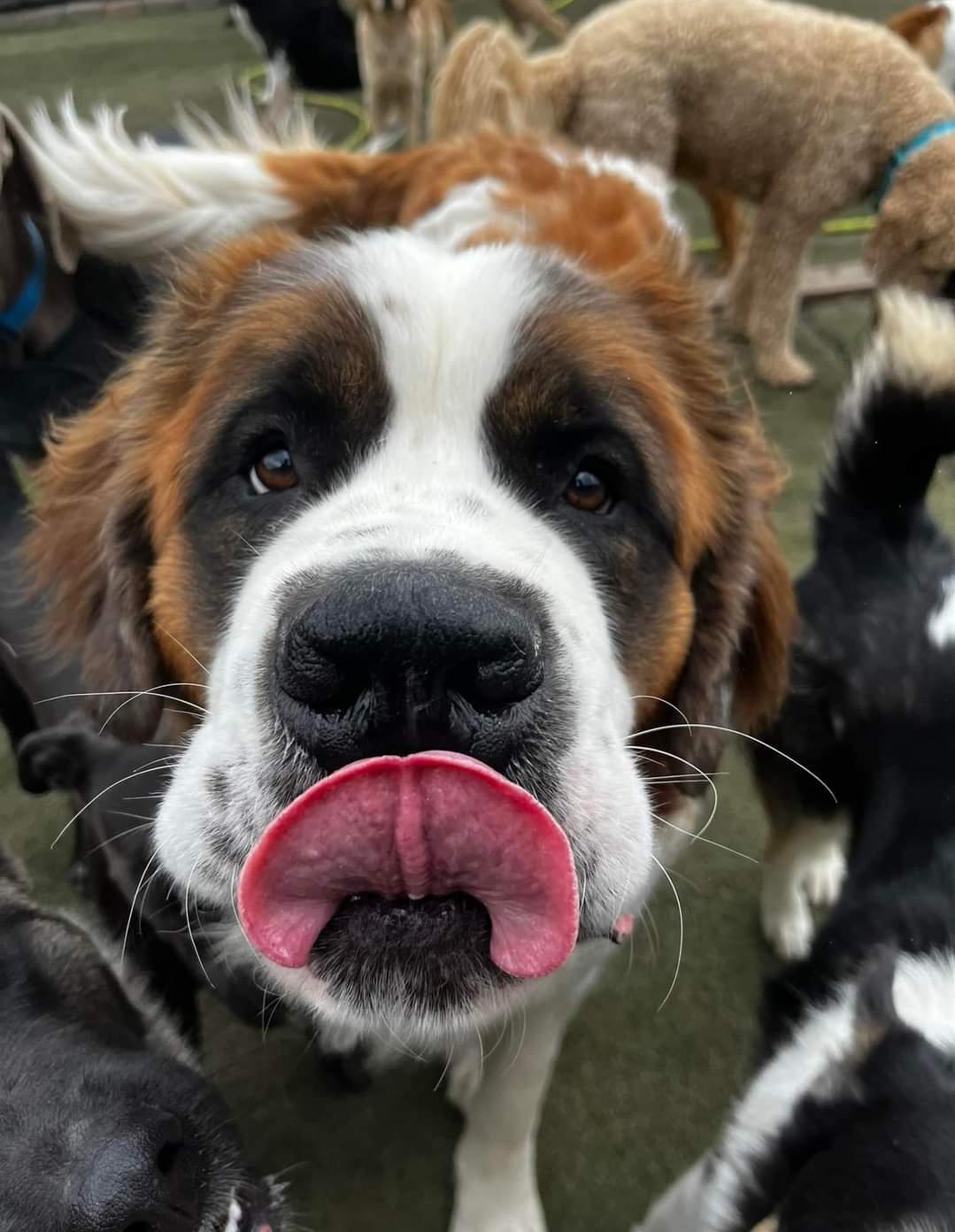 Three bleps. | Scrolller