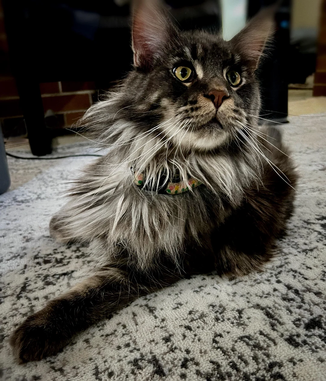 My big goofy man | Scrolller