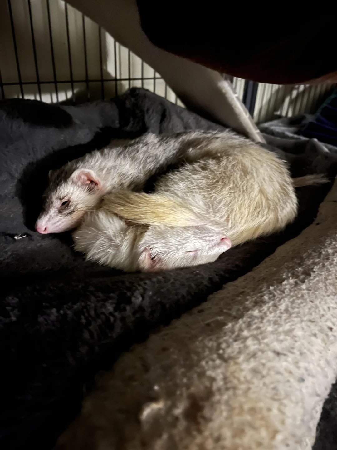 3D Yin Yang | Scrolller