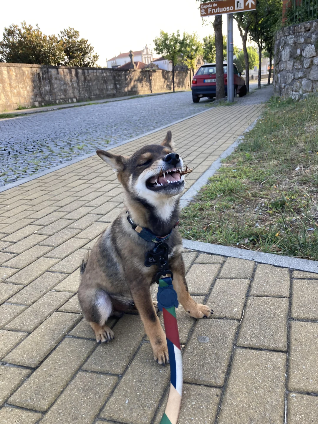 Smiling with my stick | Scrolller