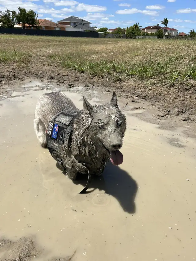 He was too fast… | Scrolller