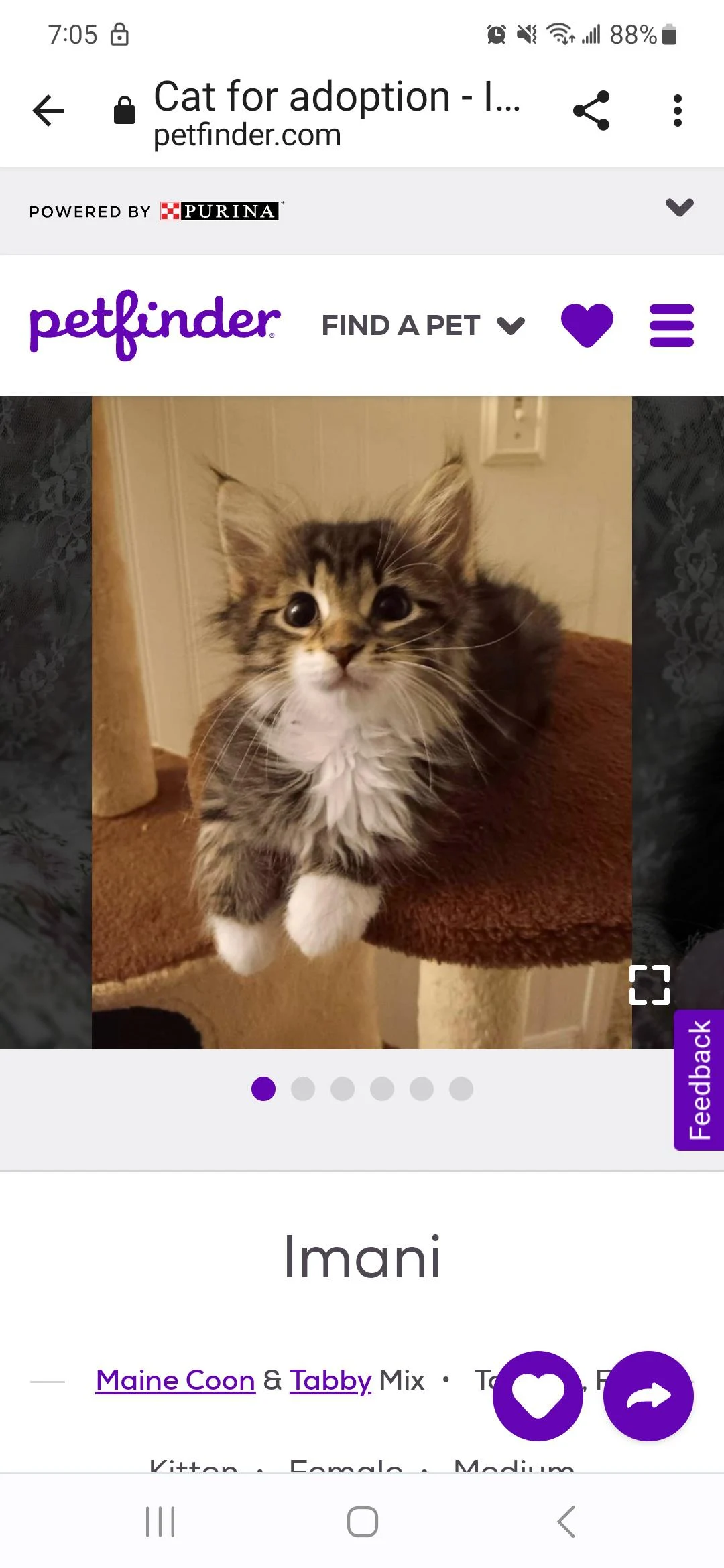 Meet Nugget | Scrolller