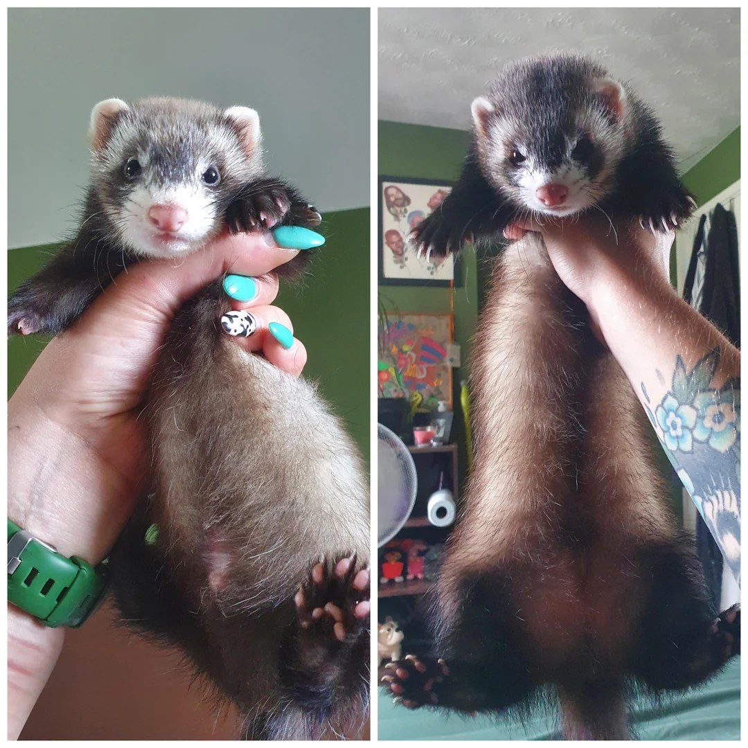 2 months difference | Scrolller