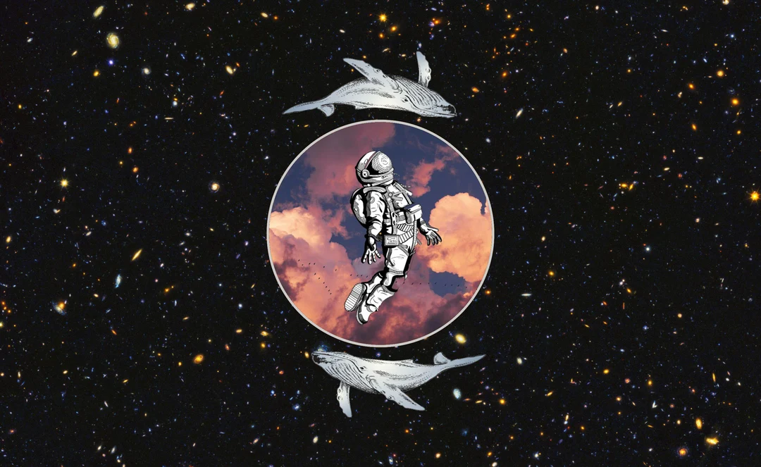 Float, Vermixx, 2021 | Scrolller