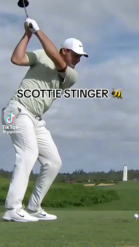 Scottie Stinger | Scrolller
