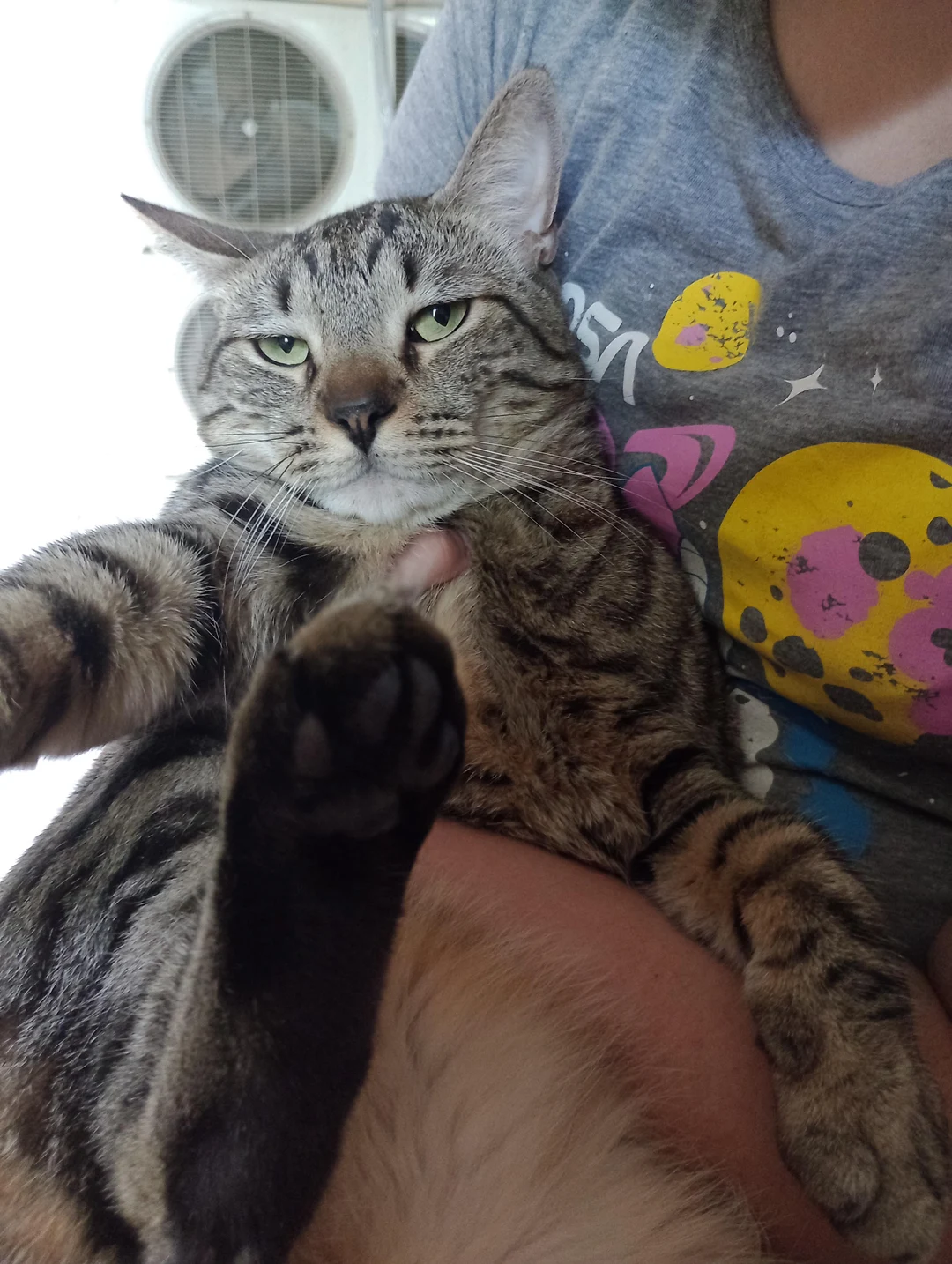 Always with an angry face hahahaha 🤦‍♀️🤩 | Scrolller