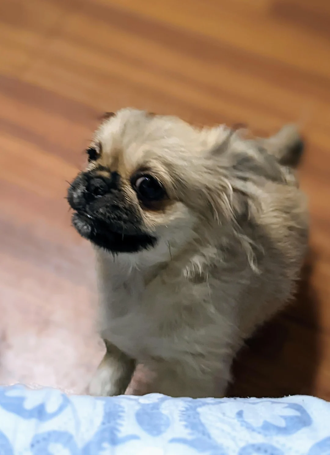 She's Very Smug | Scrolller