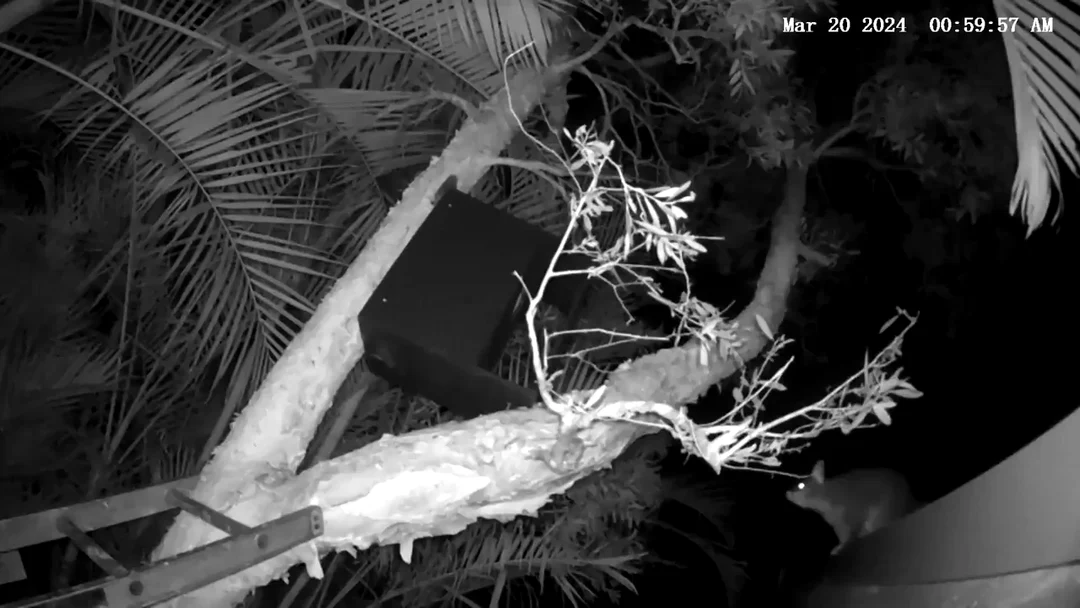 young mate nearly didnt make the jump | Scrolller