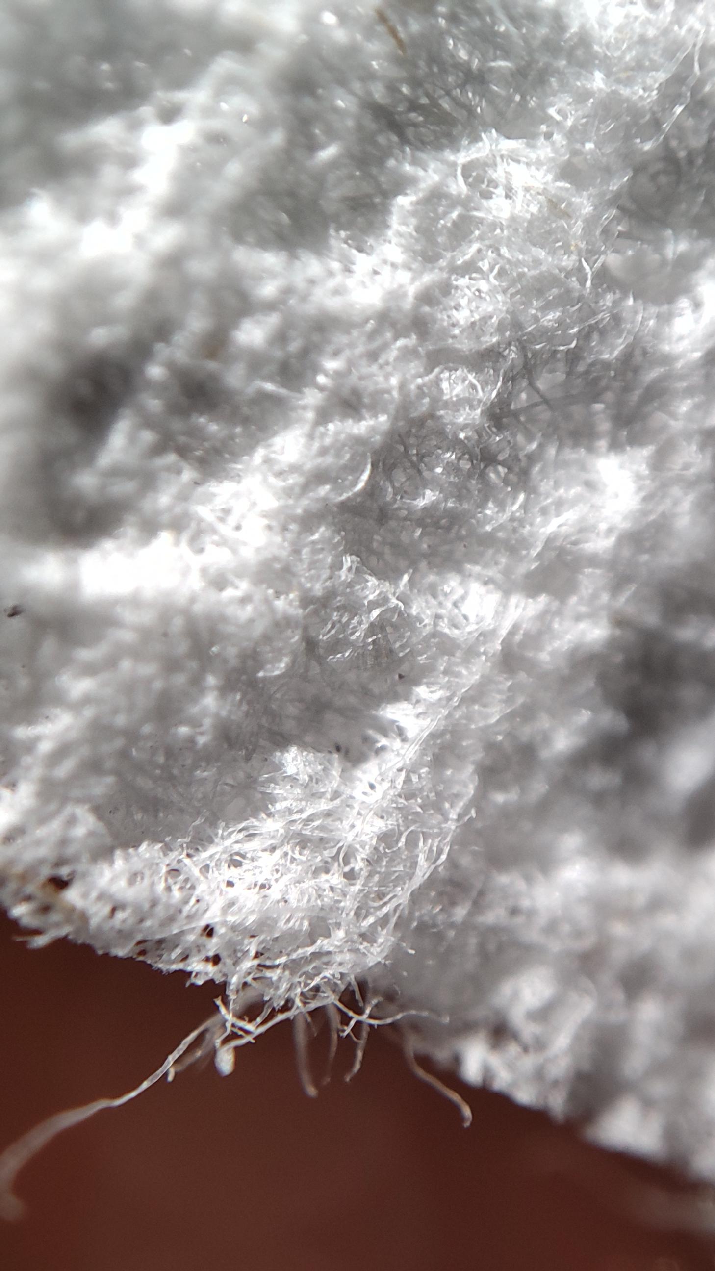 Paper towel | Scrolller