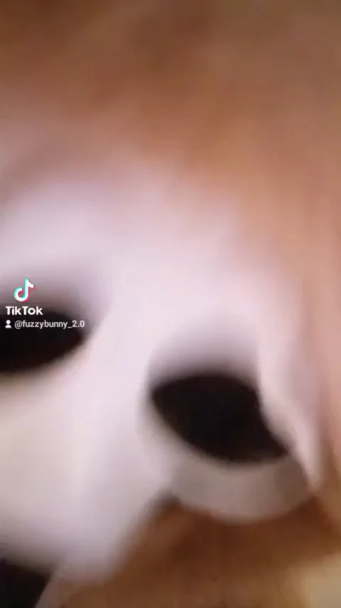 Just wait | Scrolller