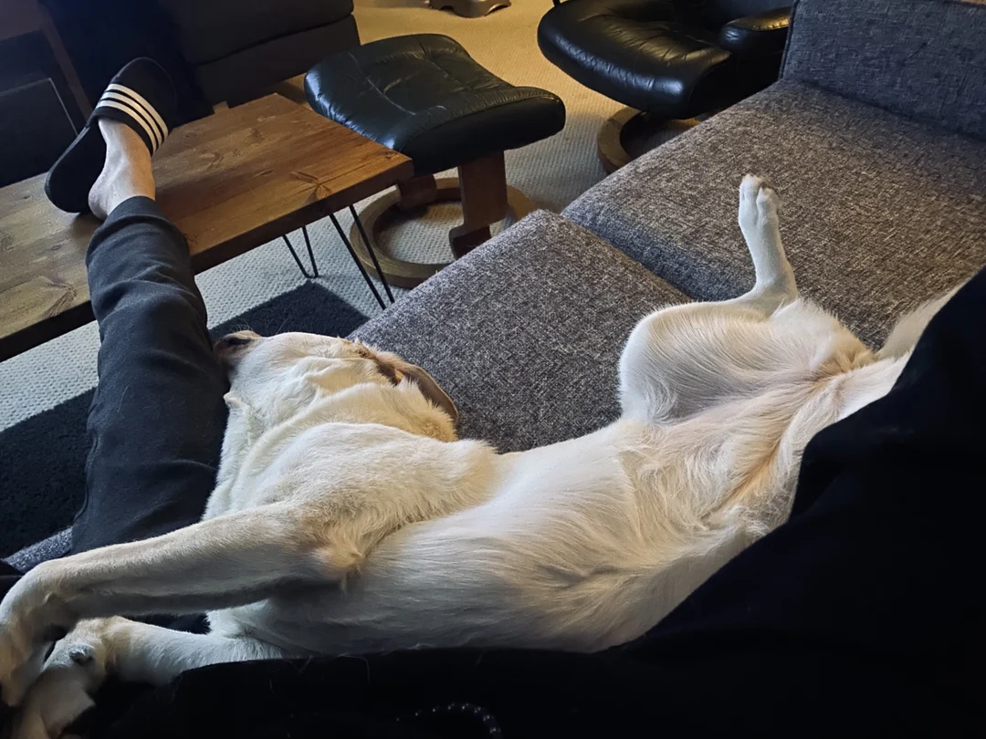 just chilling in a totally normal position. what’s it to ya?? | Scrolller