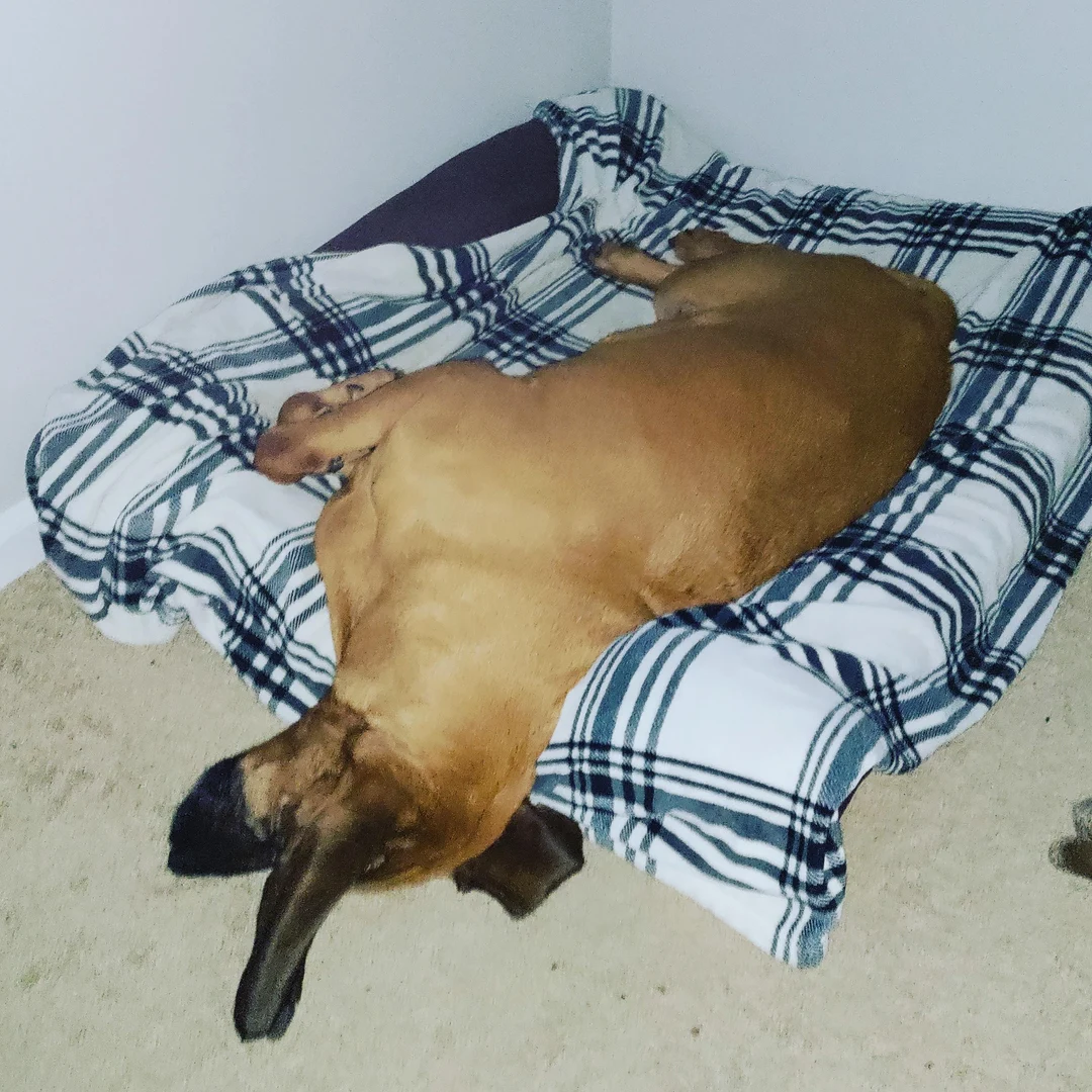 how? just how? | Scrolller