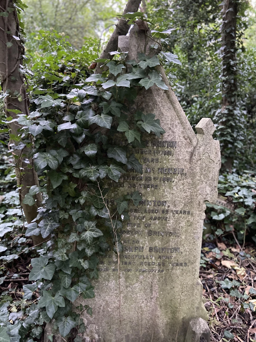 Abandoned Victorian grave | Scrolller